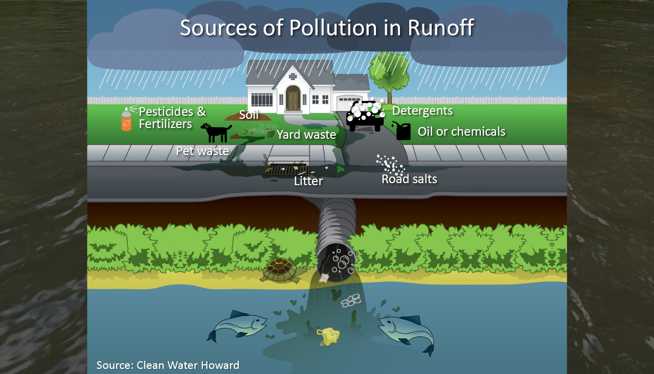 Follow the Yellow Fish Road! – Sydenham River Watershed